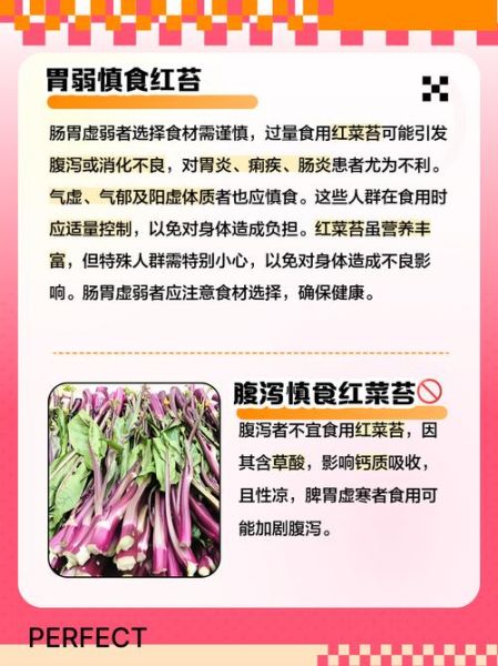 苔菜不适合什么人吃_苔菜禁忌人群有哪些-第1张图片-山城妙识 苔菜不适合什么人吃_苔菜禁忌人群有哪些-第1张图片-山城妙识