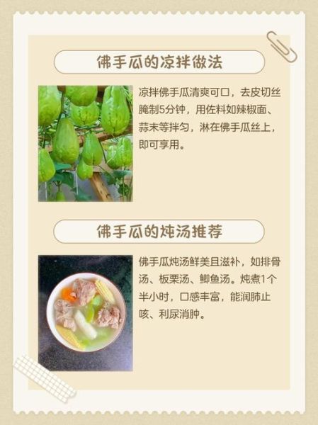 佛手瓜可以生吃吗_佛手瓜当水果怎么吃-第2张图片-山城妙识 佛手瓜可以生吃吗_佛手瓜当水果怎么吃-第2张图片-山城妙识