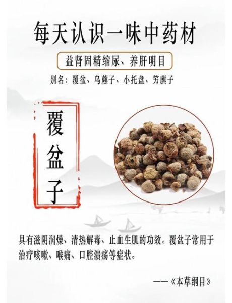 覆盆子功效与作用_覆盆子怎么吃效果最好-第1张图片-山城妙识 覆盆子功效与作用_覆盆子怎么吃效果最好-第1张图片-山城妙识