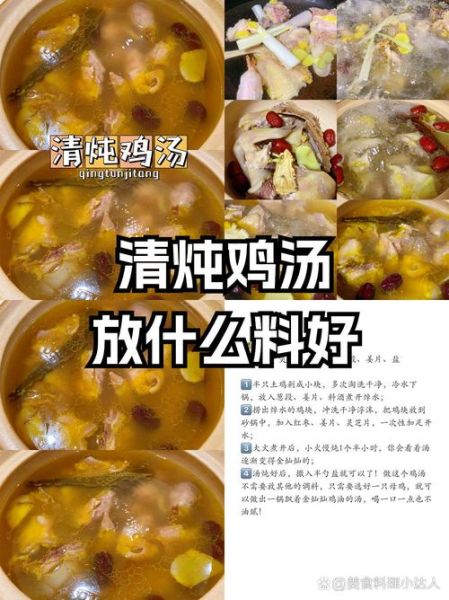 清炖鸡怎么炖好吃_清炖鸡放什么调料-第1张图片-山城妙识