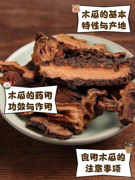 木瓜的药用价值有哪些_木瓜怎么吃最养生-第2张图片-山城妙识