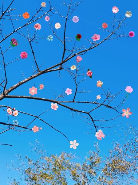 花枝招展是什么意思_花枝招展的近义词有哪些-第2张图片-山城妙识 花枝招展是什么意思_花枝招展的近义词有哪些-第2张图片-山城妙识