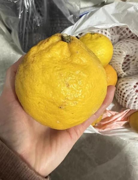 孕妇感冒了怎么办_孕妇感冒偏方大全-第1张图片-山城妙识