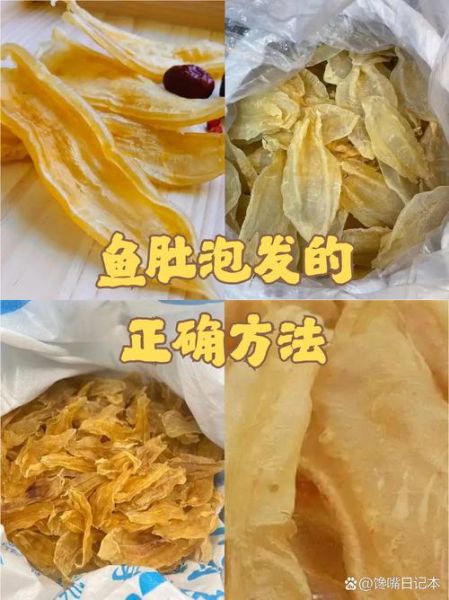 新鲜鱼肚的营养价值_孕妇可以吃吗-第2张图片-山城妙识