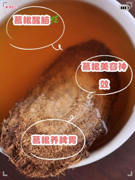 葛根泡水喝的功效与作用_葛根泡水喝的禁忌有哪些-第2张图片-山城妙识