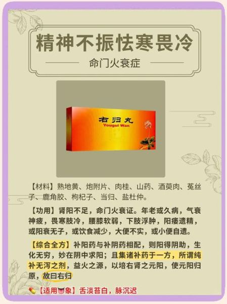 补肾中药方子有哪些_肾虚吃什么中药好-第3张图片-山城妙识