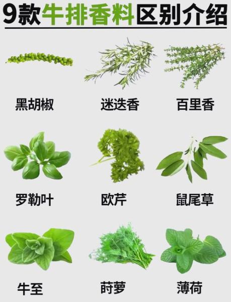 百里香是什么味道_百里香和迷迭香味道区别-第1张图片-山城妙识 百里香是什么味道_百里香和迷迭香味道区别-第1张图片-山城妙识