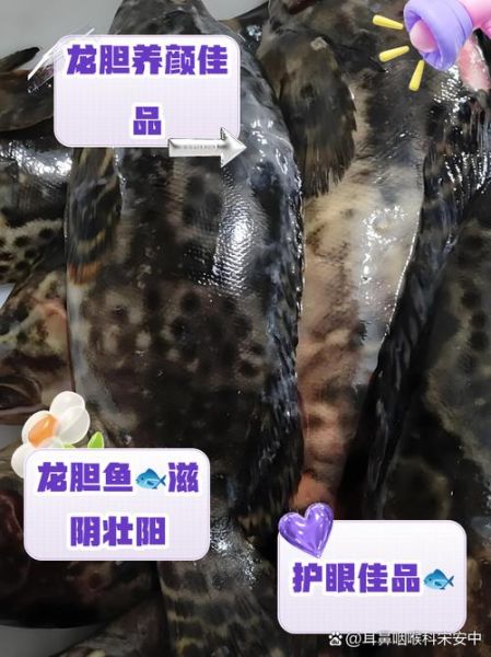 龙胆鱼和石斑鱼哪个贵_龙胆鱼价格为什么更高-第1张图片-山城妙识