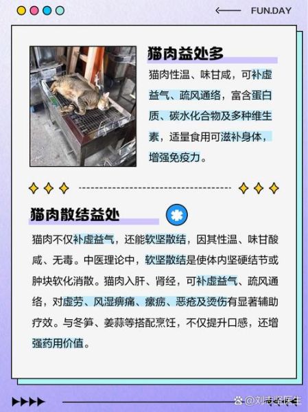 有人吃猫肉吗_猫肉能吃吗-第1张图片-山城妙识