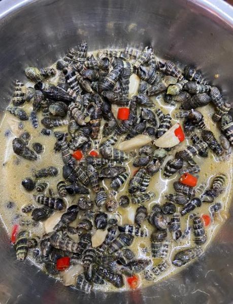 海螺丝焯水冷水还是热水下锅_海螺丝焯水正确方法-第1张图片-山城妙识