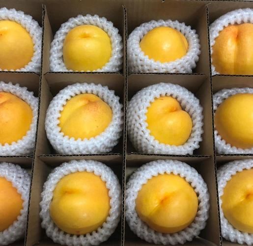 黄桃图库网怎么下载_黄桃图库网收费吗-第2张图片-山城妙识