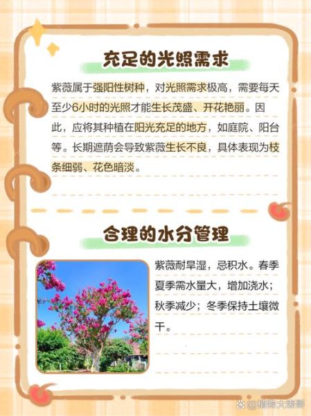 紫薇花怎么养_紫薇花的花期多长-第3张图片-山城妙识 紫薇花怎么养_紫薇花的花期多长-第3张图片-山城妙识