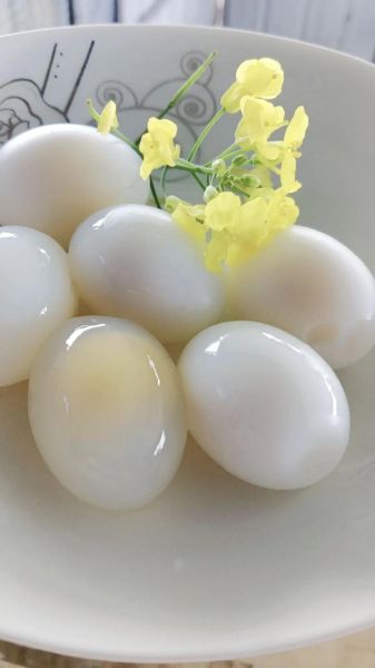 鸽子蛋和鸡蛋哪个营养高_孕妇吃鸽子蛋还是鸡蛋好-第1张图片-山城妙识