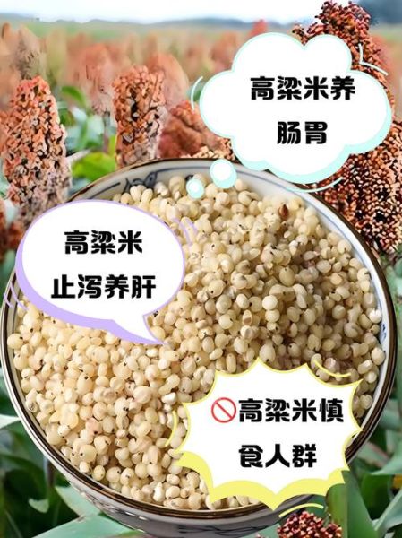 高粱的功效与作用禁忌_高粱哪些人不能吃-第1张图片-山城妙识 高粱的功效与作用禁忌_高粱哪些人不能吃-第1张图片-山城妙识