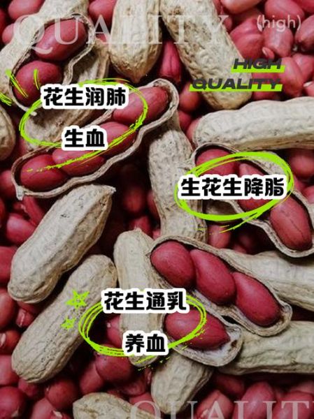 吃生花生的功效与作用_生花生一天吃多少合适-第3张图片-山城妙识