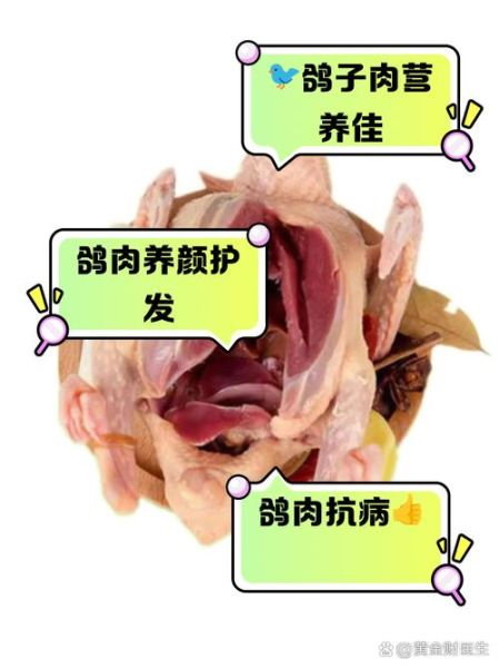 吃鸽子的功效与禁忌_哪些人不能吃-第2张图片-山城妙识