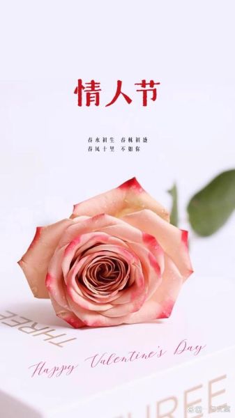 情人节海报文案怎么写_情人节文案创意灵感-第1张图片-山城妙识