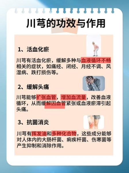 川芎的功效与作用是什么_川芎主治哪些疾病-第2张图片-山城妙识 川芎的功效与作用是什么_川芎主治哪些疾病-第2张图片-山城妙识