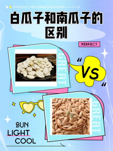 白瓜子与南瓜子的区别_哪个营养价值更高-第1张图片-山城妙识 白瓜子与南瓜子的区别_哪个营养价值更高-第1张图片-山城妙识