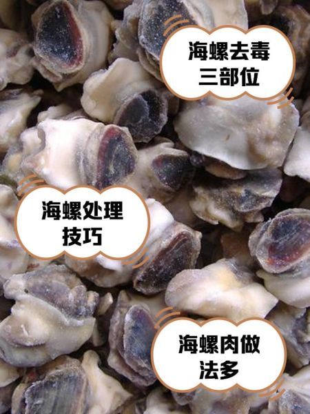 海螺肉怎么做好吃_海螺肉的做法大全家常窍门-第1张图片-山城妙识 海螺肉怎么做好吃_海螺肉的做法大全家常窍门-第1张图片-山城妙识