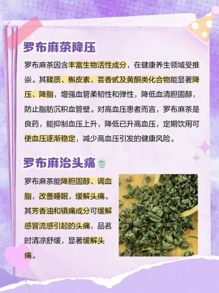 罗布麻茶副作用有哪些_罗布麻茶能长期喝吗-第2张图片-山城妙识 罗布麻茶副作用有哪些_罗布麻茶能长期喝吗-第2张图片-山城妙识