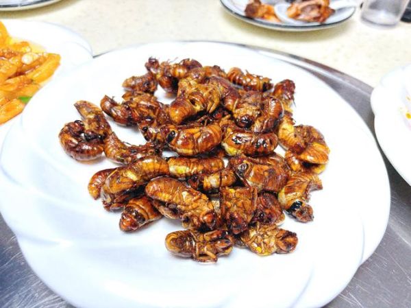 油炸知了猴有毒吗_知了猴怎么处理才安全-第1张图片-山城妙识 油炸知了猴有毒吗_知了猴怎么处理才安全-第1张图片-山城妙识