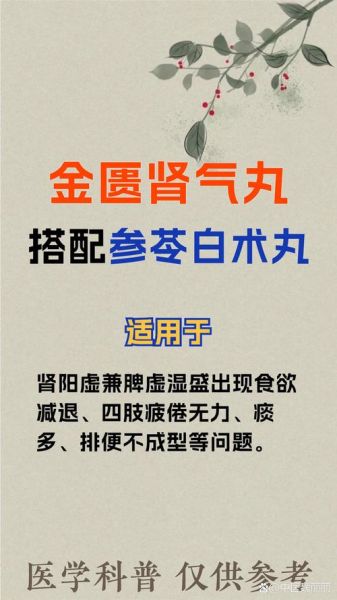 金匮肾气丸能壮阳吗_金匮肾气丸的功效与作用壮阳吗-第3张图片-山城妙识 金匮肾气丸能壮阳吗_金匮肾气丸的功效与作用壮阳吗-第3张图片-山城妙识