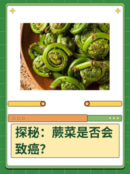 蕨菜致癌吗_蕨菜抗癌是真的吗-第2张图片-山城妙识