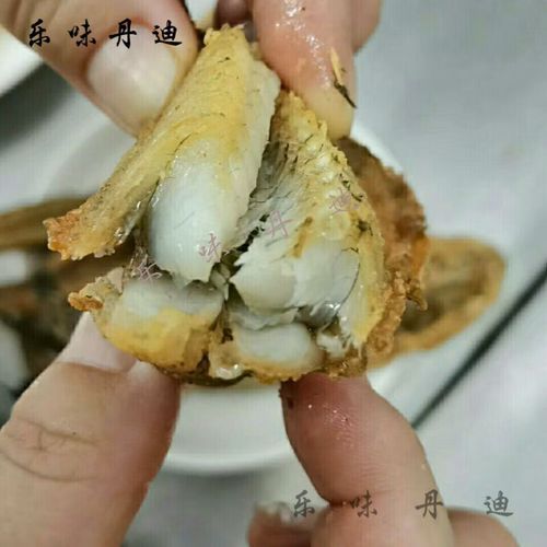 海胖头鱼是什么鱼_海胖头鱼好吃吗-第3张图片-山城妙识 海胖头鱼是什么鱼_海胖头鱼好吃吗-第3张图片-山城妙识