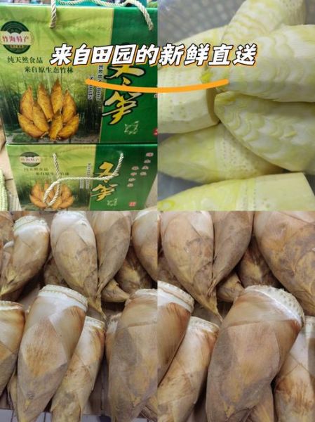 超市袋装冬笋怎么做好吃_袋装冬笋要焯水吗-第3张图片-山城妙识 超市袋装冬笋怎么做好吃_袋装冬笋要焯水吗-第3张图片-山城妙识