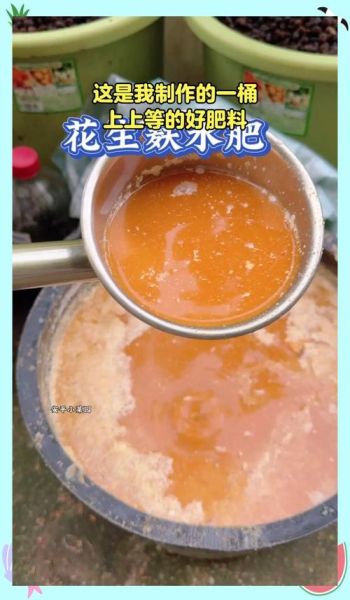 花生饼做肥料怎么发酵_花生饼发酵多久能用-第1张图片-山城妙识 花生饼做肥料怎么发酵_花生饼发酵多久能用-第1张图片-山城妙识