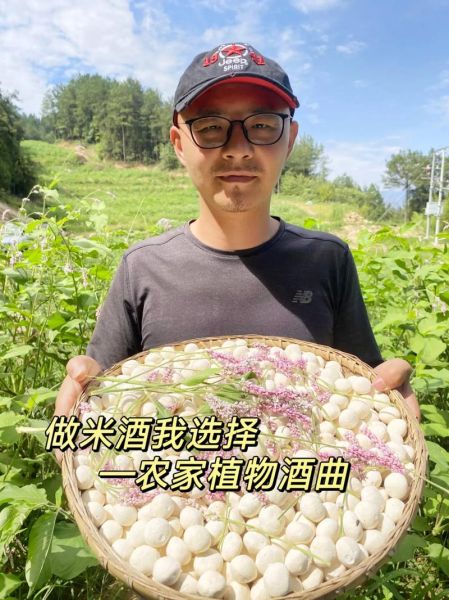 酒曲批发价格多少钱一斤_哪里能买到正宗酒曲-第3张图片-山城妙识