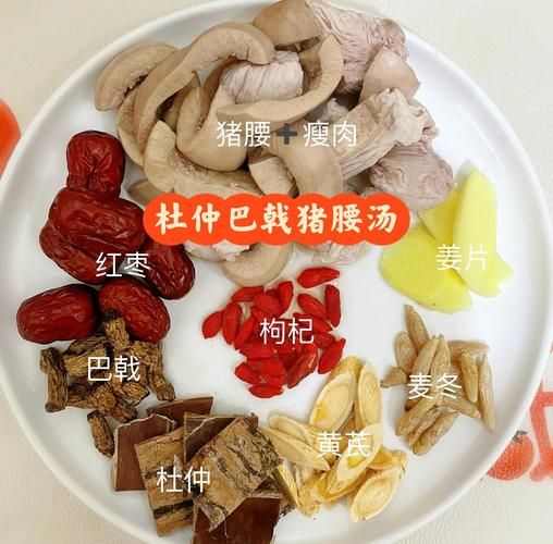 补肾汤配方有哪些_肾虚喝什么汤最有效-第1张图片-山城妙识