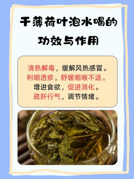 薄荷叶的功效与作用及禁忌_薄荷叶泡水喝的禁忌-第1张图片-山城妙识 薄荷叶的功效与作用及禁忌_薄荷叶泡水喝的禁忌-第1张图片-山城妙识