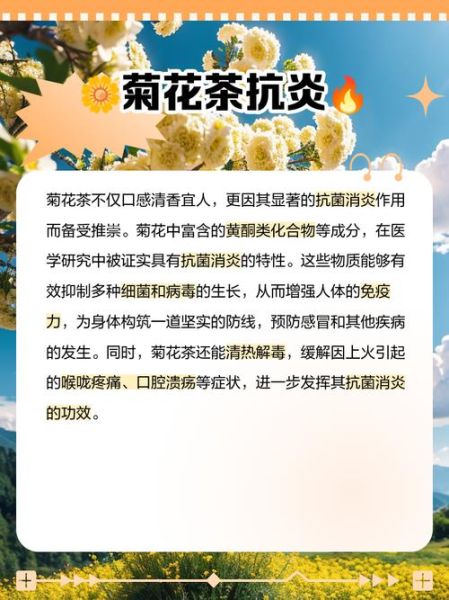 喝菊花茶有什么好处_长期喝菊花茶会上火吗-第2张图片-山城妙识