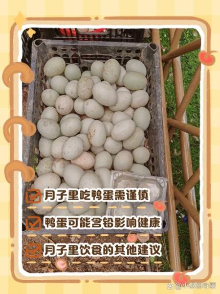 鸭蛋为什么不能白煮吃_白煮鸭蛋的危害-第2张图片-山城妙识