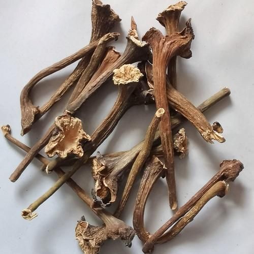 茄子把煮水能治咳嗽吗_茄子蒂止咳偏方真相-第2张图片-山城妙识 茄子把煮水能治咳嗽吗_茄子蒂止咳偏方真相-第2张图片-山城妙识