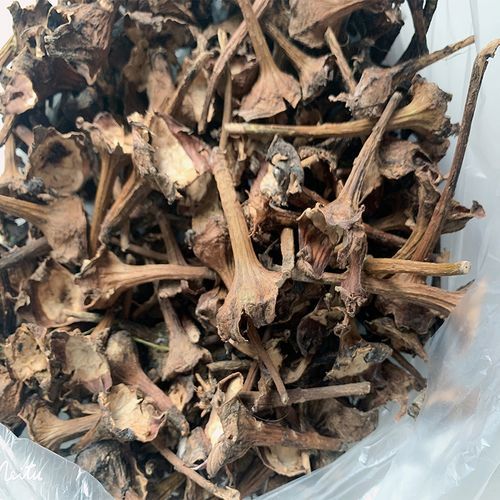 茄子把煮水能治咳嗽吗_茄子蒂止咳偏方真相-第1张图片-山城妙识 茄子把煮水能治咳嗽吗_茄子蒂止咳偏方真相-第1张图片-山城妙识