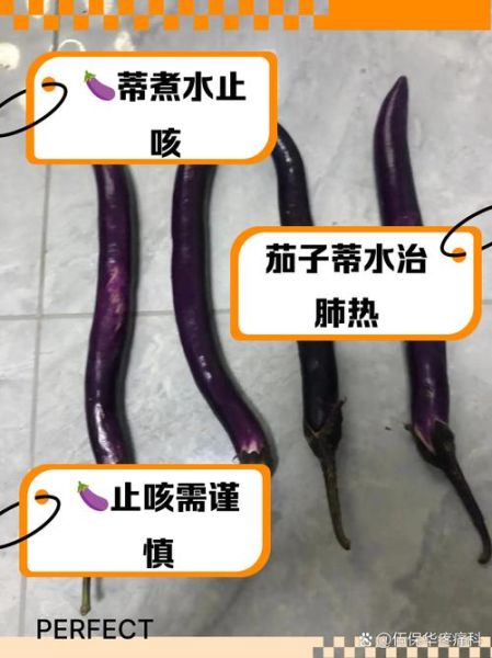 茄子把煮水能治咳嗽吗_茄子蒂止咳偏方真相-第3张图片-山城妙识 茄子把煮水能治咳嗽吗_茄子蒂止咳偏方真相-第3张图片-山城妙识