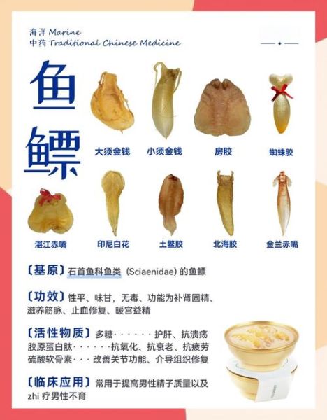 乌贼鱼的功效与作用_乌贼鱼怎么吃最营养-第2张图片-山城妙识 乌贼鱼的功效与作用_乌贼鱼怎么吃最营养-第2张图片-山城妙识