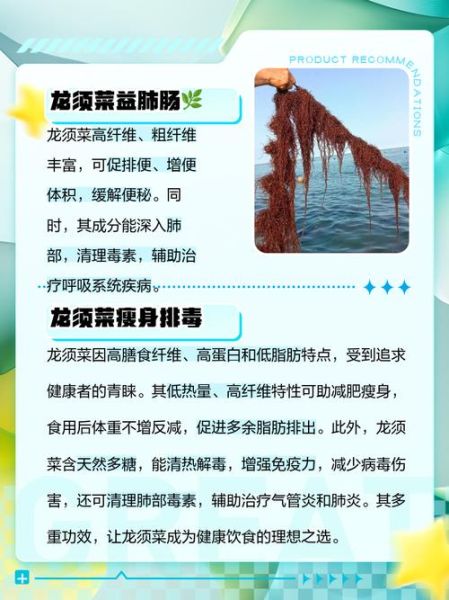 龙须菜和石花菜哪个更营养_区别与功效全解析-第2张图片-山城妙识 龙须菜和石花菜哪个更营养_区别与功效全解析-第2张图片-山城妙识