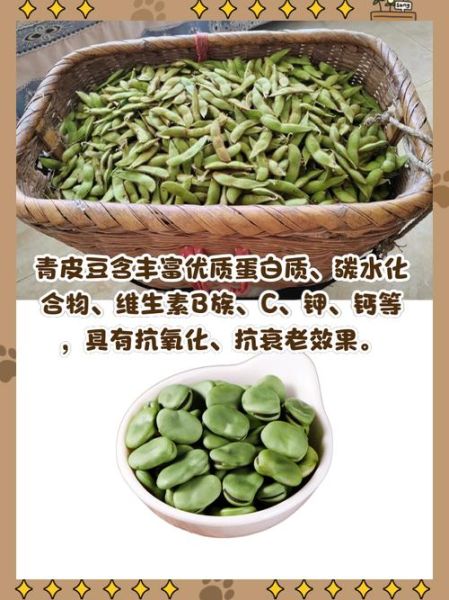 黑皮青豆的功效与作用_黑皮青豆怎么吃最营养-第2张图片-山城妙识 黑皮青豆的功效与作用_黑皮青豆怎么吃最营养-第2张图片-山城妙识