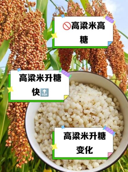 高粱米含糖量高吗_糖尿病人能吃吗-第1张图片-山城妙识 高粱米含糖量高吗_糖尿病人能吃吗-第1张图片-山城妙识