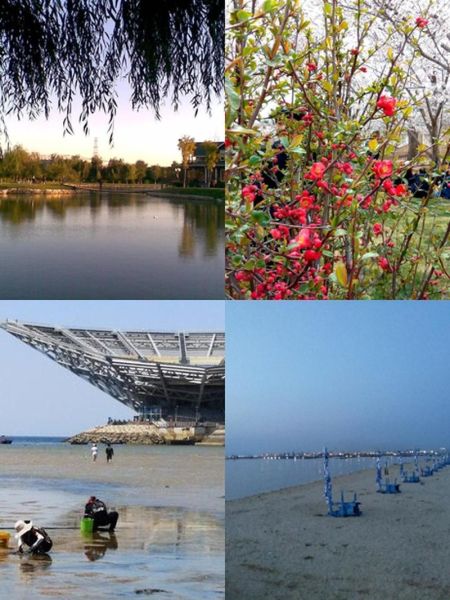 鲅鱼圈有什么好玩的_鲅鱼圈必去景点推荐-第3张图片-山城妙识 鲅鱼圈有什么好玩的_鲅鱼圈必去景点推荐-第3张图片-山城妙识