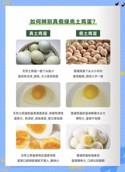 土鸡蛋和普通鸡蛋的区别_哪个更有营养-第2张图片-山城妙识 土鸡蛋和普通鸡蛋的区别_哪个更有营养-第2张图片-山城妙识