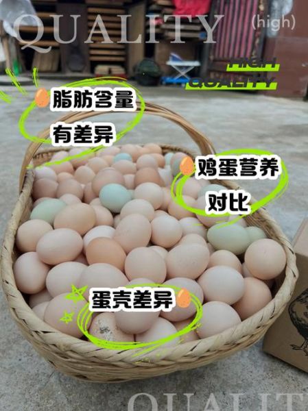 土鸡蛋和普通鸡蛋的区别_哪个更有营养-第1张图片-山城妙识 土鸡蛋和普通鸡蛋的区别_哪个更有营养-第1张图片-山城妙识