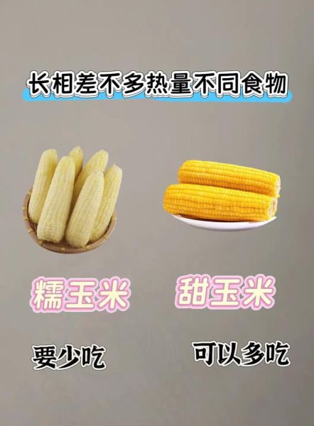 糯玉米的热量是多少_减肥能吃糯玉米吗-第2张图片-山城妙识 糯玉米的热量是多少_减肥能吃糯玉米吗-第2张图片-山城妙识