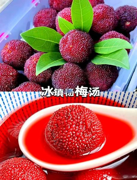 冰镇杨梅怎么做_冰镇杨梅怎么做好吃-第3张图片-山城妙识 冰镇杨梅怎么做_冰镇杨梅怎么做好吃-第3张图片-山城妙识
