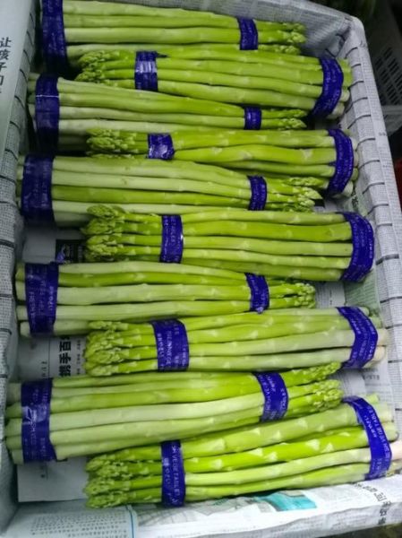 芦笋亩产多少斤_芦笋价格多少钱一斤-第2张图片-山城妙识 芦笋亩产多少斤_芦笋价格多少钱一斤-第2张图片-山城妙识