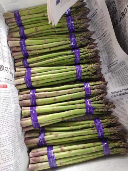 芦笋亩产多少斤_芦笋价格多少钱一斤-第3张图片-山城妙识 芦笋亩产多少斤_芦笋价格多少钱一斤-第3张图片-山城妙识